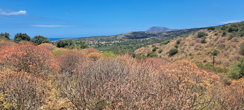 Elevated Plot with Panoramic Views in Neo Chorio – DOMKRIT. Real Estate ...